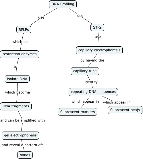 DNA Profiling